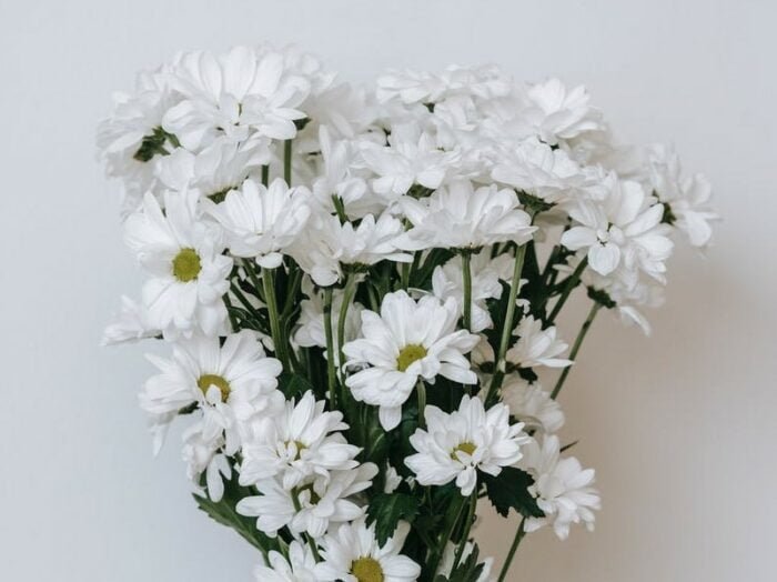 Hand Buket Bunga Krisan, Filosofi Bunga Dengan Makna Mendalam